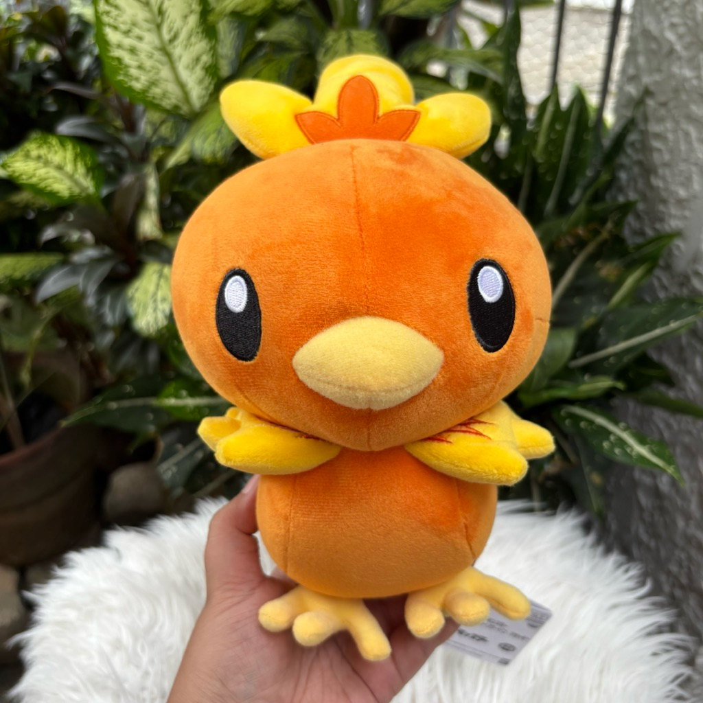 BP Pokemon Torchic Japan Plush Toy | Shopee Philippines