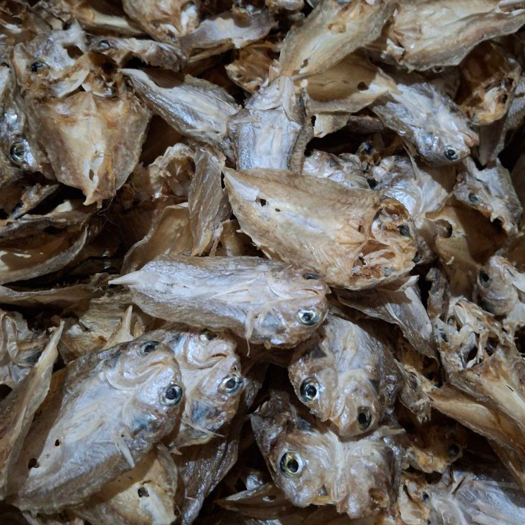 Danggit Bicol (Unsalted) 100g | Dried Fish| Vacuum Sealed | Plastic ...