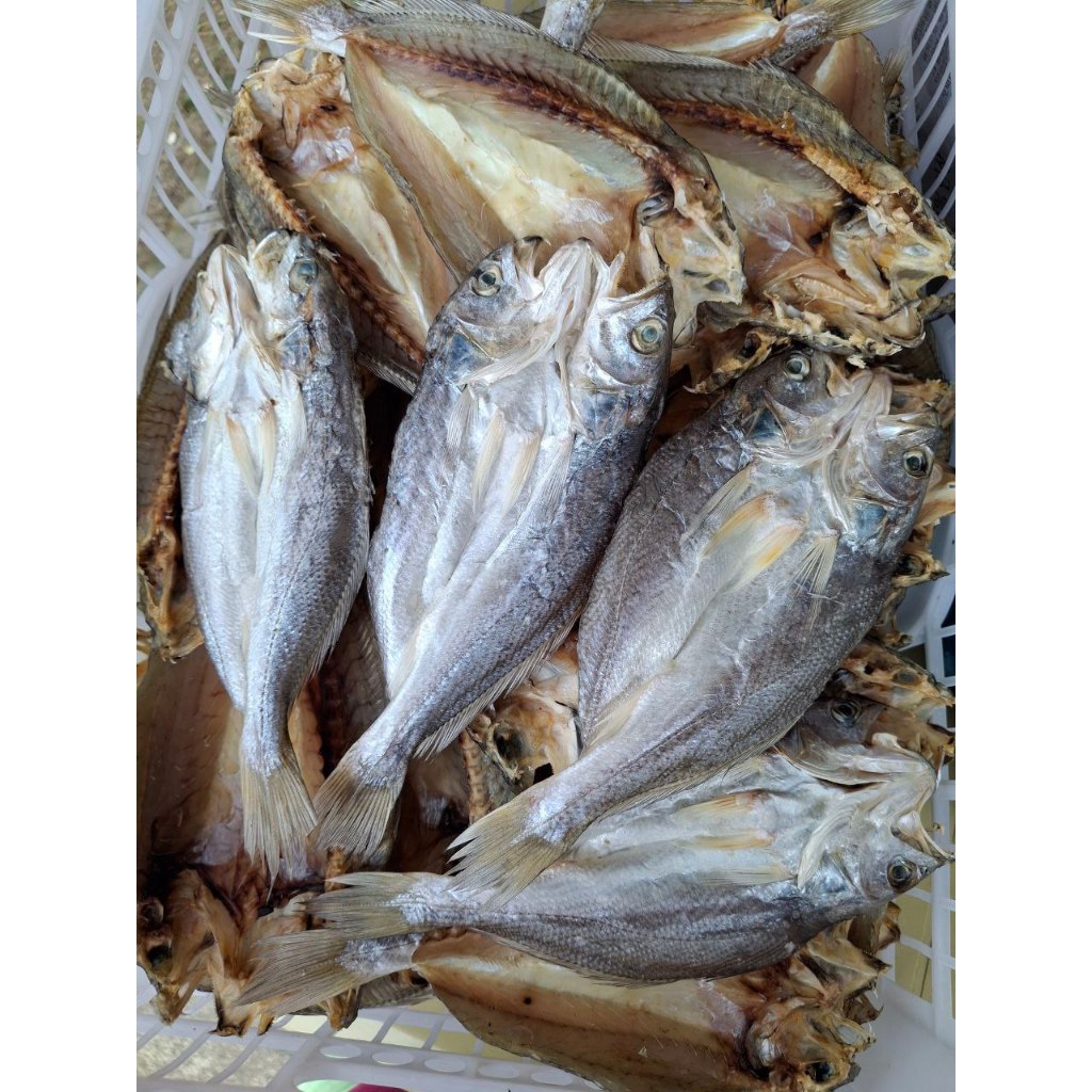 Daing Abo 125g | Vacuum Sealed | Traditional Dried Fish | Shopee ...