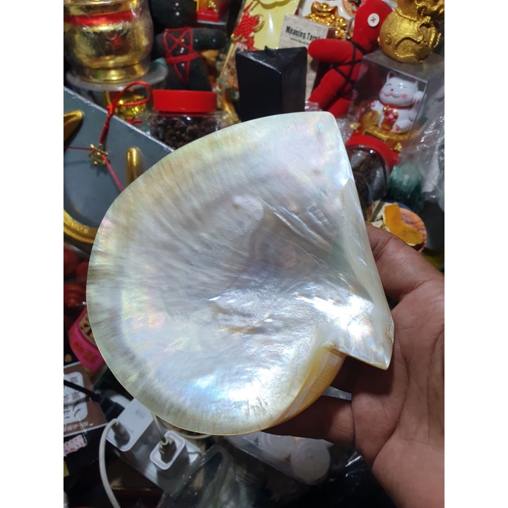 Authentic Mother of Pearl Shell | Shopee Philippines