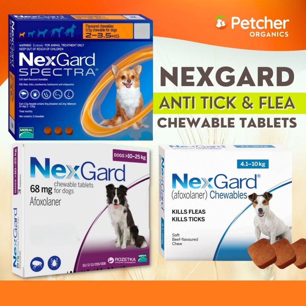 Nexgard Spectra and Nexgard Chewable Tablet Anti Tick and Flea for Dogs ...