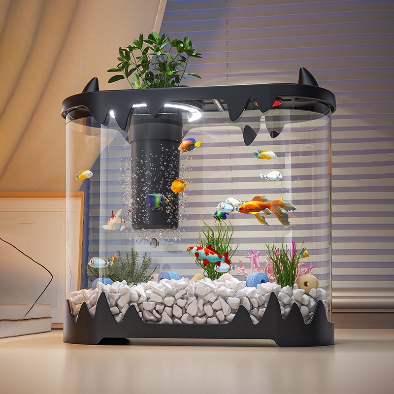 Compact Desktop Fish Tank, Perfect Mini Aquarium for Home Decor, Built ...