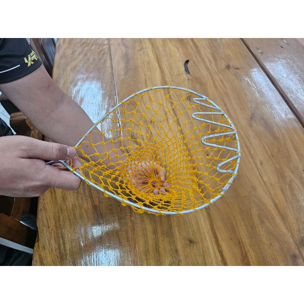 Double Net -Fruit Picker - Panungkit ng mga Prutas | Shopee Philippines
