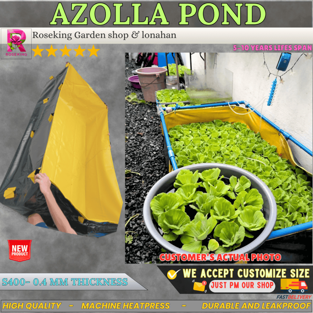 Azolla pond, fish tank CKM s400 pinaka makapal heavy duty SUBOK SA ...