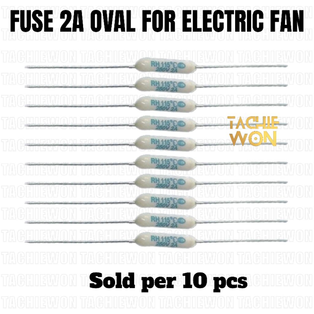 10pcs Fuse 2A Oval Ceramic for Electric Fan | Shopee Philippines