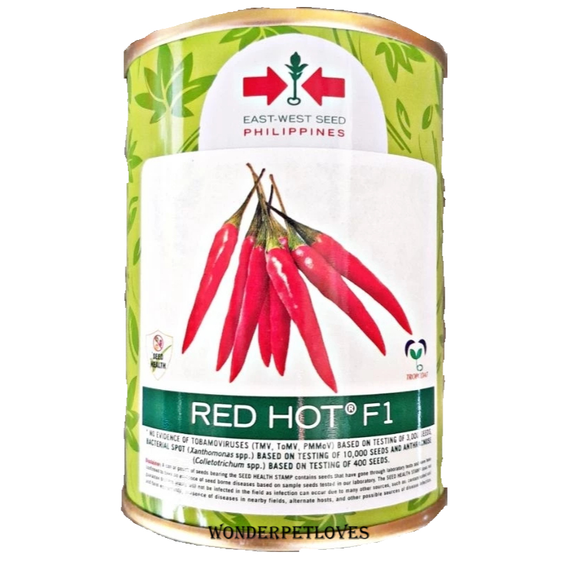 RED HOT F1 HYBRID HOT PEPPER OR LABUYO SEEDS(25 GRAMS)EAST WEST SEEDS ...