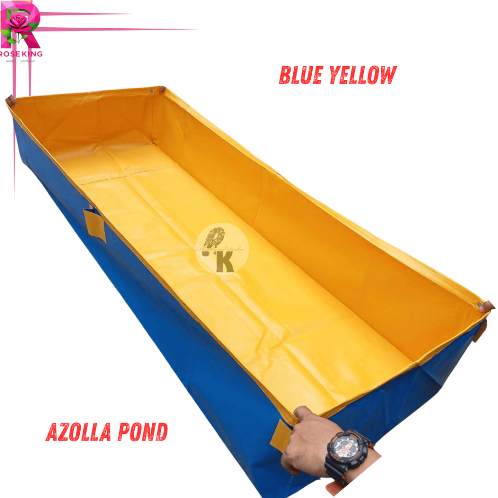 8x4x1 feet azolla pond/BED FISH TANK LONA TRAPAL TRAPOND original ...