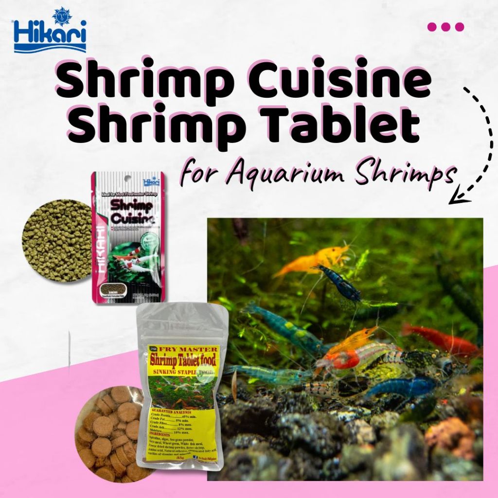 Hikari SHRIMP CUISINE, Shrimp Tablet & Essentials for RCS, Neocaridina ...