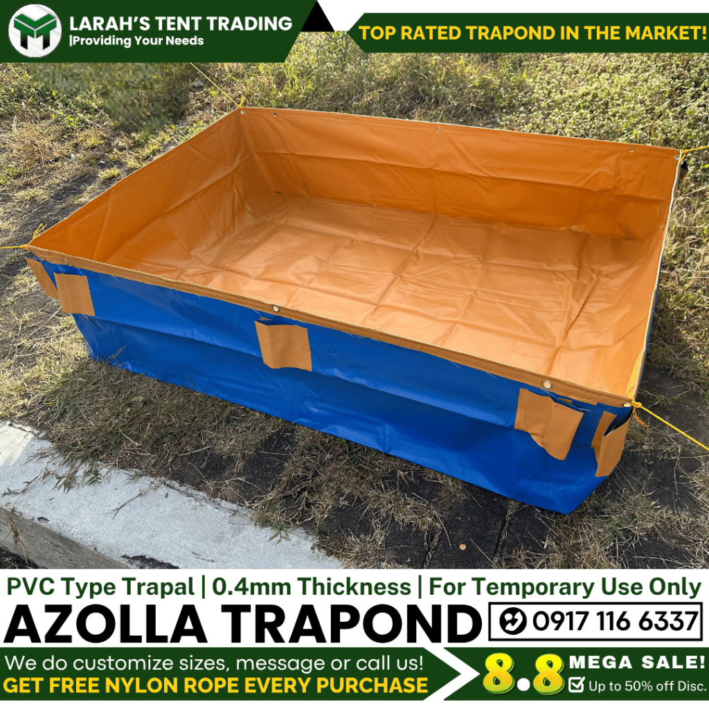 PVC Trapal Pond Azolla Bed Fish Tank Crayfish Pond w/ Free Rope Lona ...
