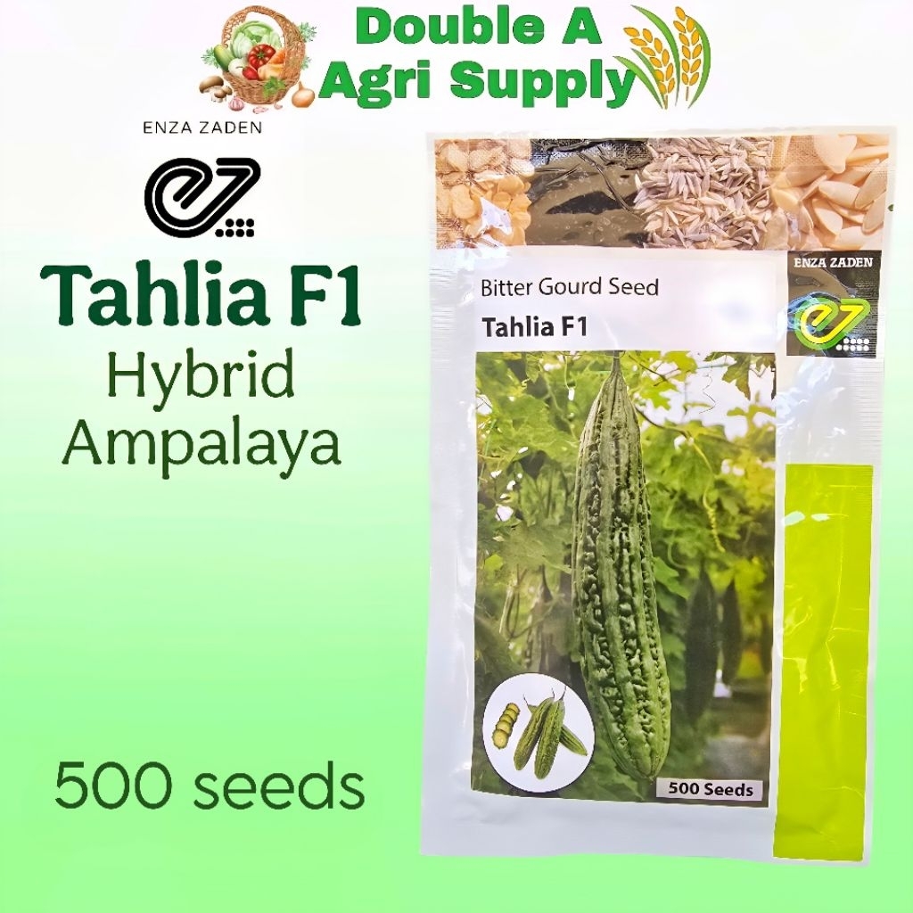 Tahlia F1 Hybrid Ampalaya / Bitter Gourd / 500 seeds - Enza Zaden ...