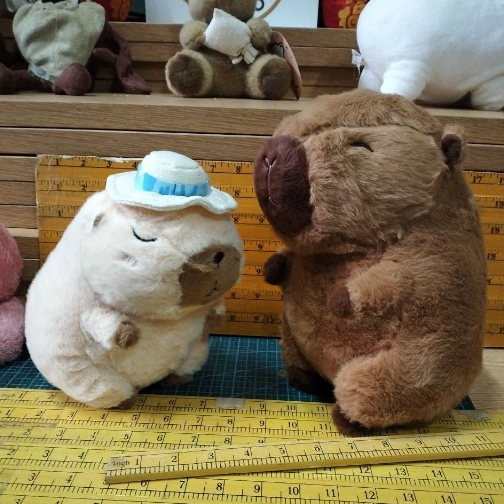 Capybara Stuffs Collection | Shopee Philippines