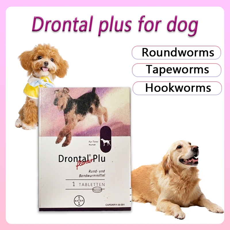 Drontal Plus Dewormer for Dogs (1 tablet) Deworm Roundworm Hookworm ...