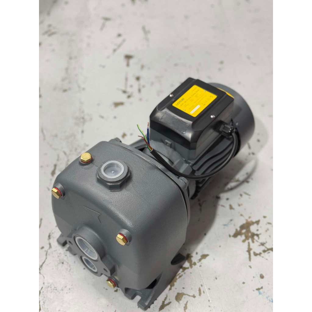 LOTUS JET PUMP (DEEPWELL) 1.5HP LJM150X | Shopee Philippines