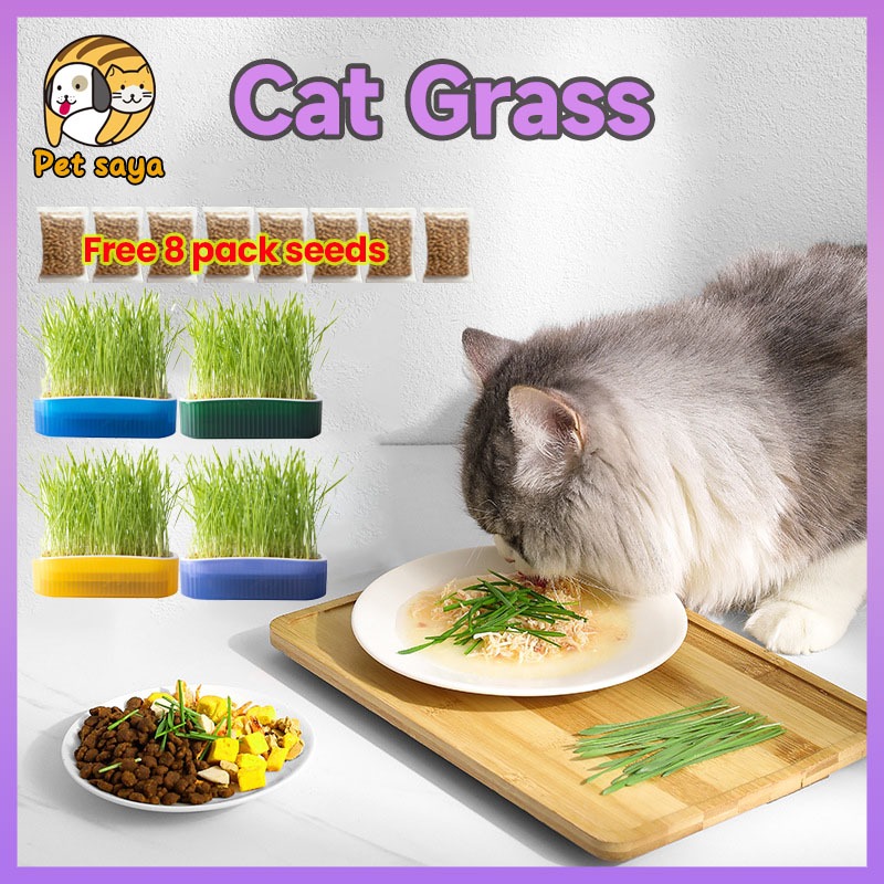 Organic Cat Grass Seeds Send 8 Packs Of Seeds Soilless Cultivation ...