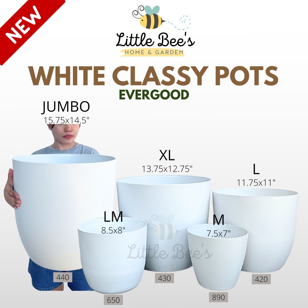 White Classy Minimalist Pots | Evergood | Yayamanin Pots | Aesthetic ...