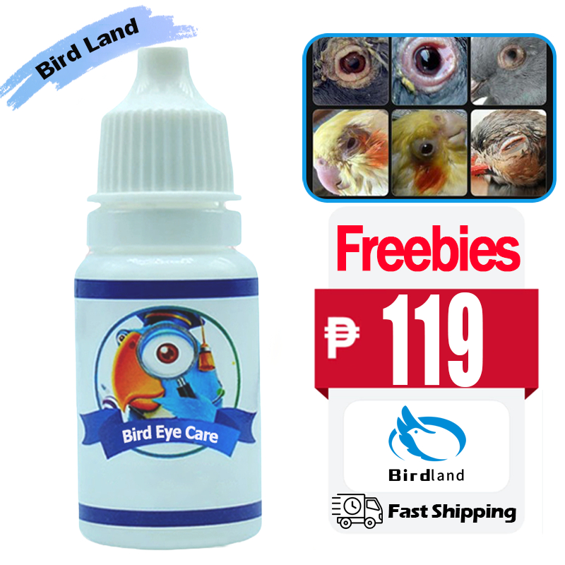 One Eye Cold Eye Drops Medicated for Birds lovebird cockatiel 10ml ...