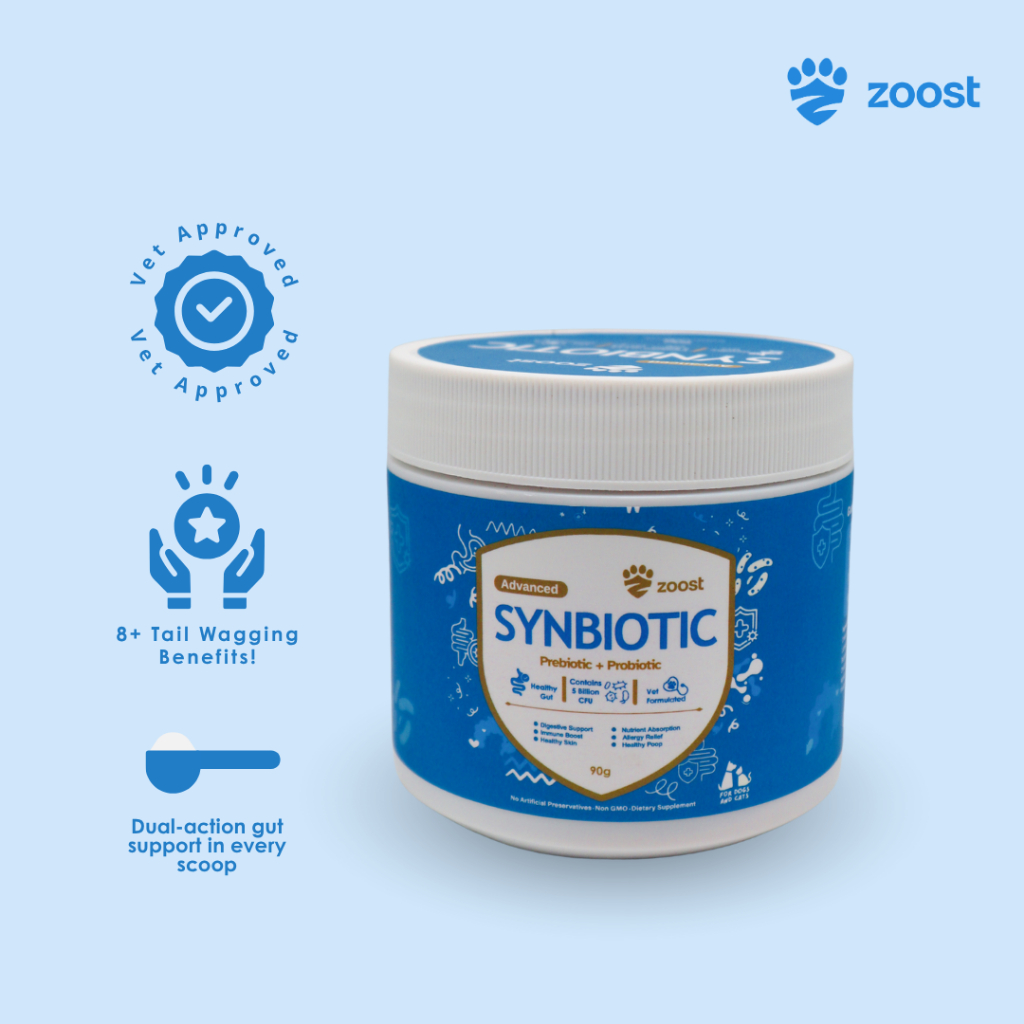 ZOOST Synbiotic Probiotic and Prebiotic Powder Supplement for Dogs and ...