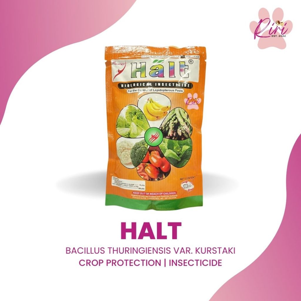 HALT | BTK (BACILLUS THURINGIENSIS) – BIO-INSECTICIDE KONTRA ULAM AT ...