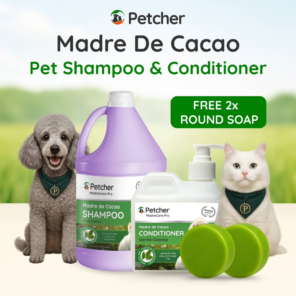 Petcher Madre De Cacao Pet Shampoo and Conditioner Sulit Bundle for ...