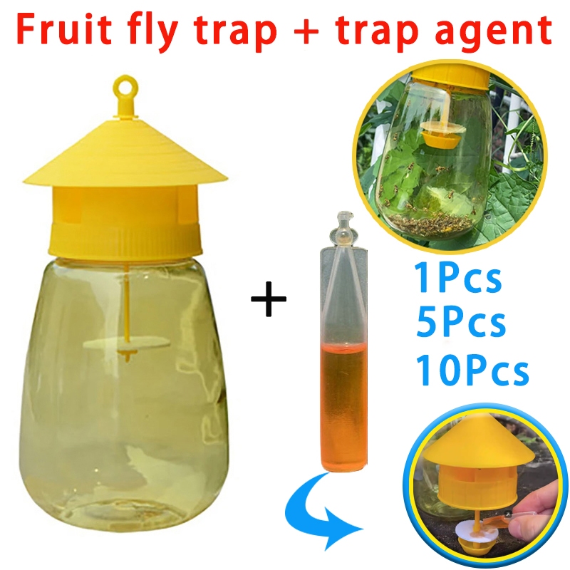 Fruit Fly Attractant Fruit Fly Catcher Trap Trap Wasp Vegetable Garden ...