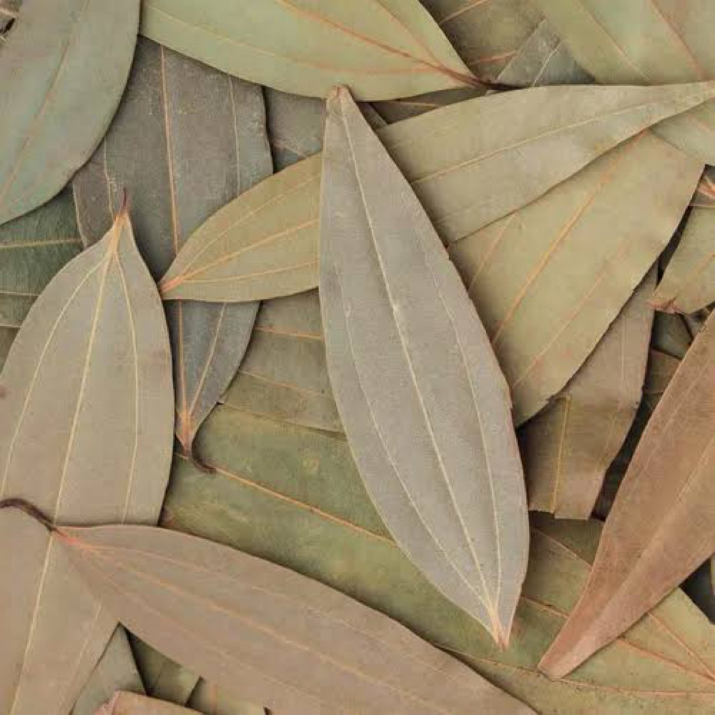 Premium Indian Bay Leaves (Tej Patta) | Shopee Philippines
