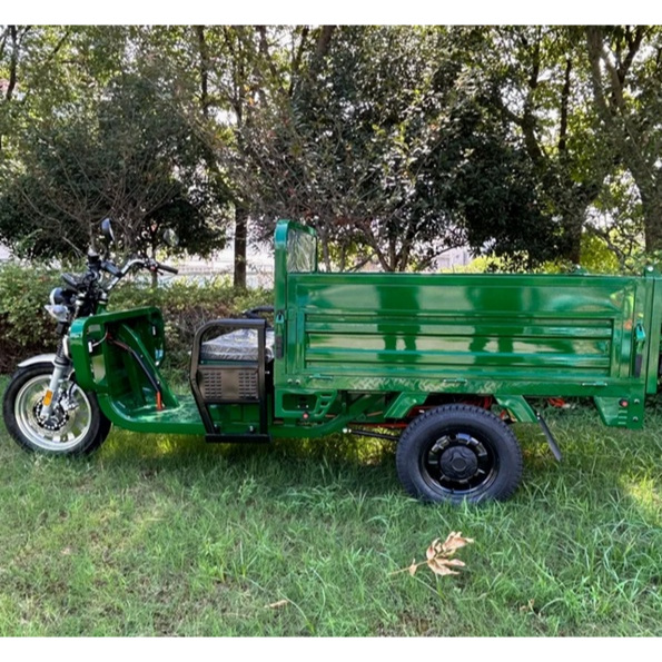 Electric Cargo Tricycle Three Wheel Farm | Shopee Philippines