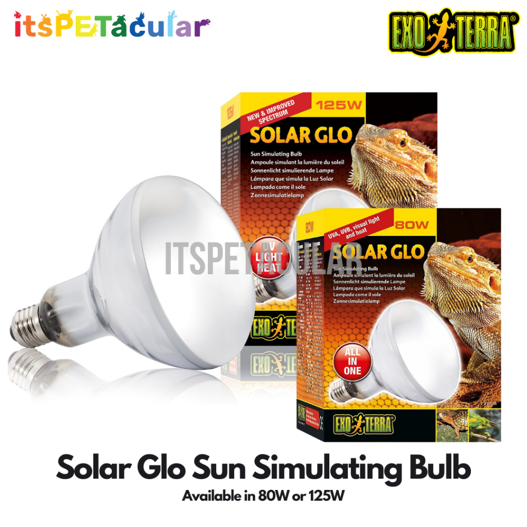 Exo Terra Solar Glo Sun Simulating Bulb for Reptiles (80w or 125w ...