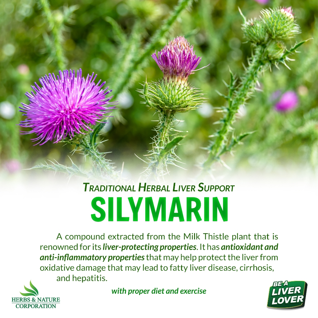 HNC - Liveraide Silymarin 100 pcs Capsule 555 mg Liver Protection ...