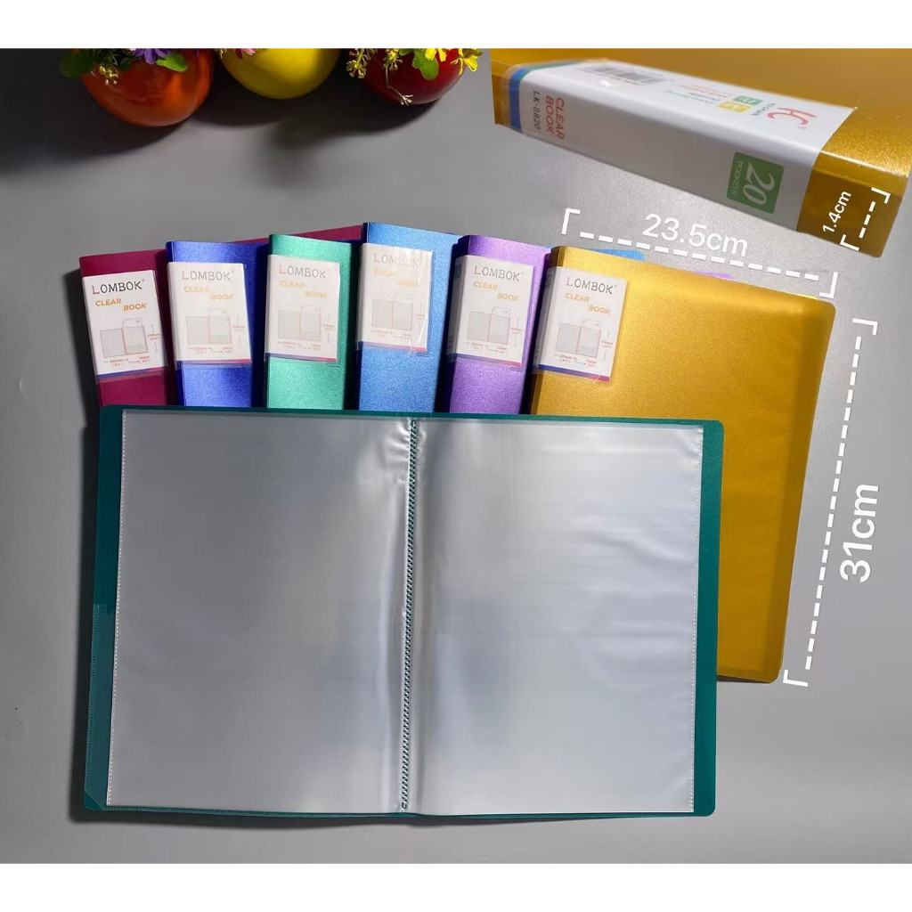 A4 Clearbook – 20-Pocket Document Organizer (Multi-Color) | Shopee ...
