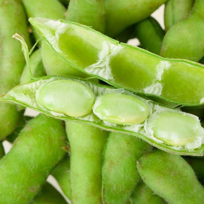20 seeds Original Edamame Seeds for Planting Vegetables High Yield ...