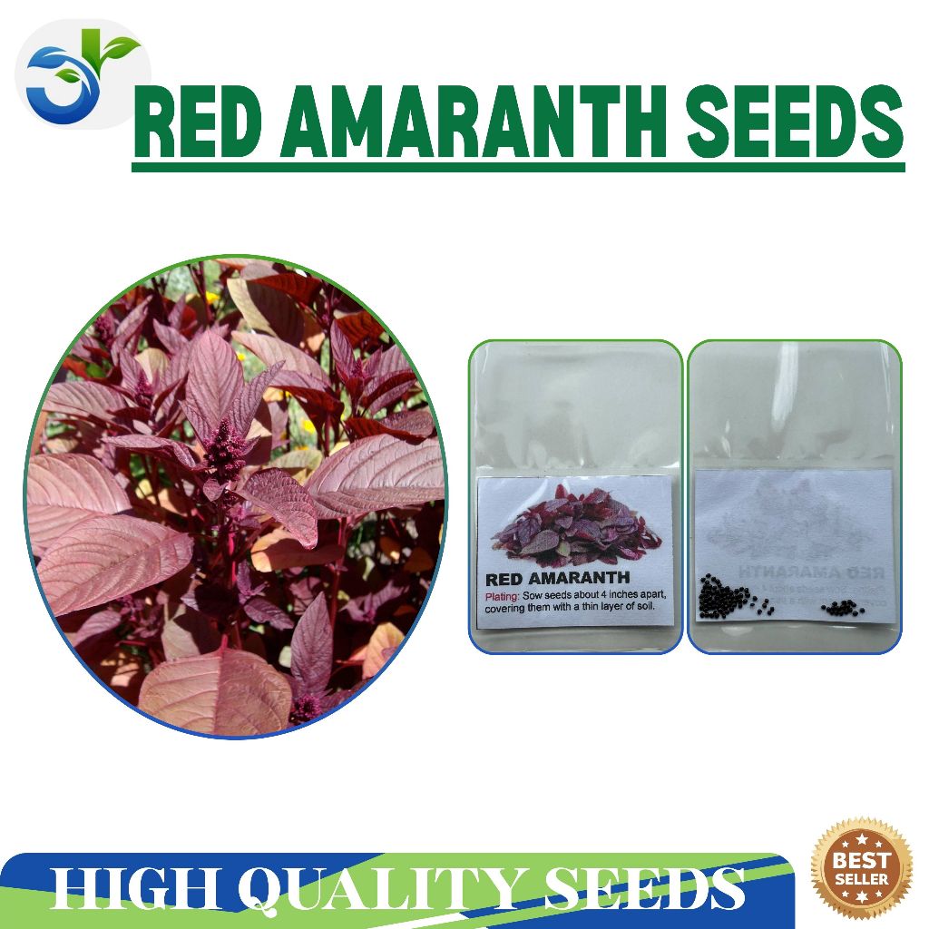 Red Amaranth / 50seeds - (1pack) | Shopee Philippines
