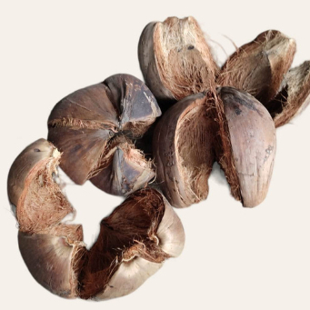Swipeclick Coconut Husk / Bunot - 4 pcs for Gardening/Orchids/ornaments ...