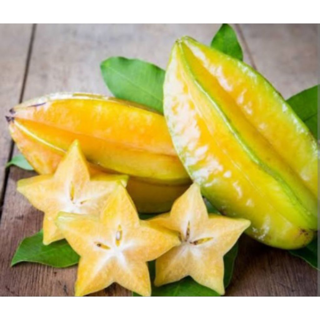 Star fruit seeds(10pcs) granatis tree seeds/ Carambola sweet | Shopee ...
