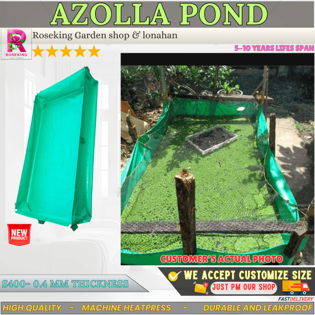 Azolla Pond b1t1 8x4x1ft maruyama original heavy duty pwde po ...