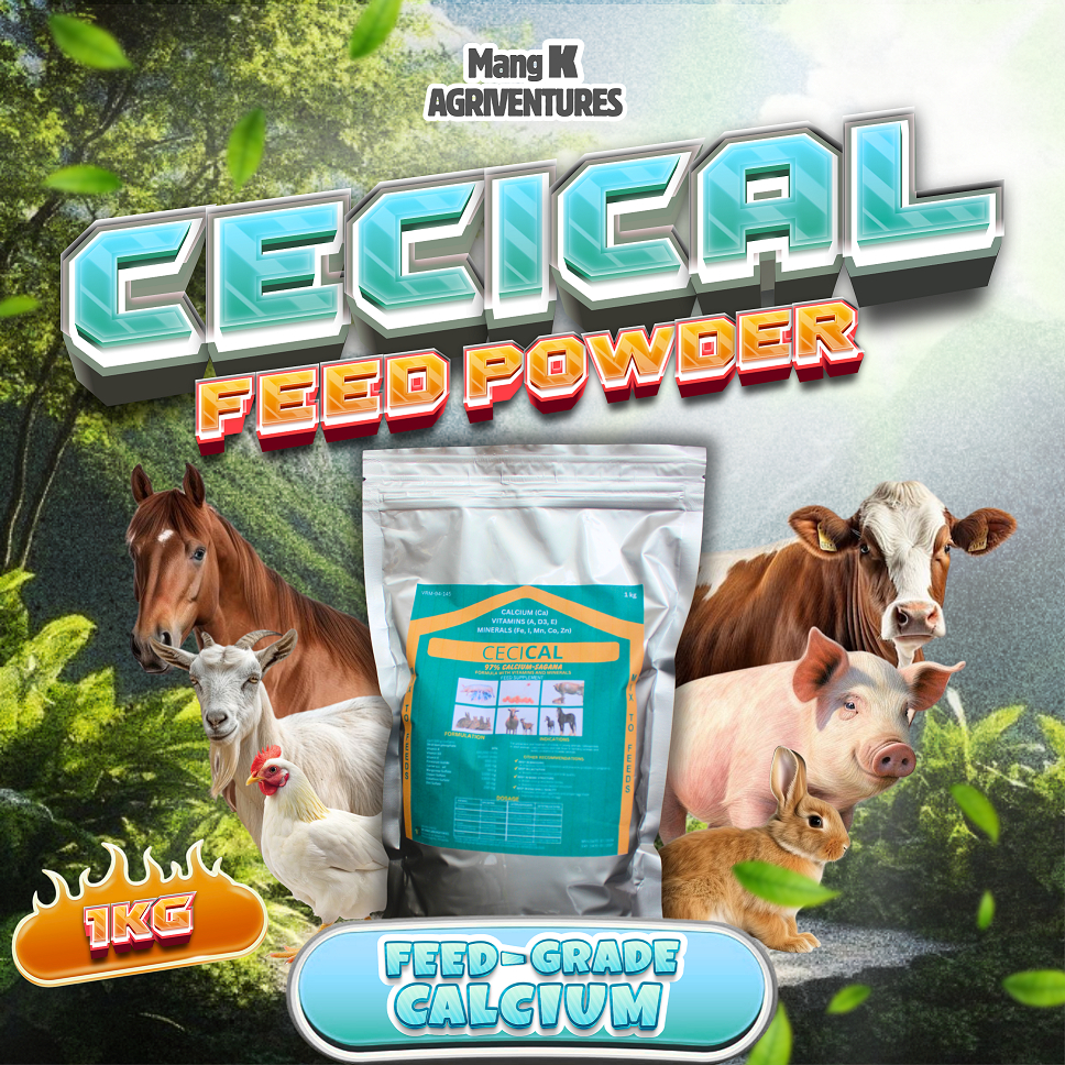 1 KG CECICAL POWDER Feed MIX Vitamins|Minerals for Chicken|Gamefowl ...