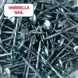 Shop pako for Sale on Shopee Philippines