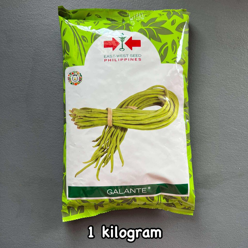 GALANTE SITAW EAST WEST YARD LONG BEAN (SITAO) QUALITY VEGETABLE SEEDS ...