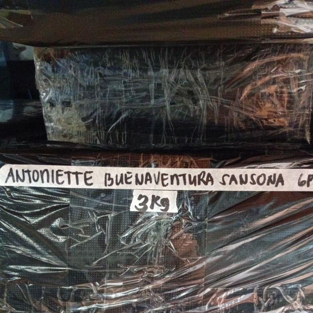 BOOK FOR ANTONIETTE BUENAVENTURA SANSONA ( NOVELS ) | Shopee Philippines