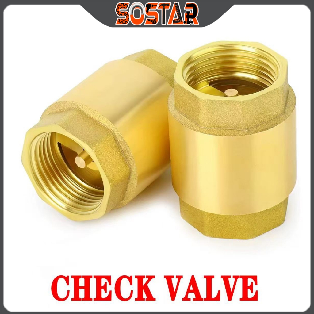 High-quality Brass Valve Thread Spring Vertical Pump Valves Brass Check ...