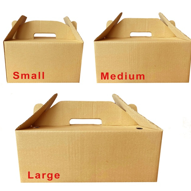 10pcs SMALL Lechon Belly Box | Takeout Lechon Box | Chicken Box | Fruit ...