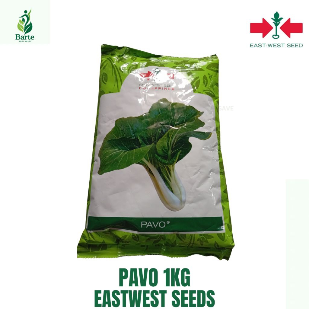 Pavo Pechay East-West Seed Kilo | Shopee Philippines