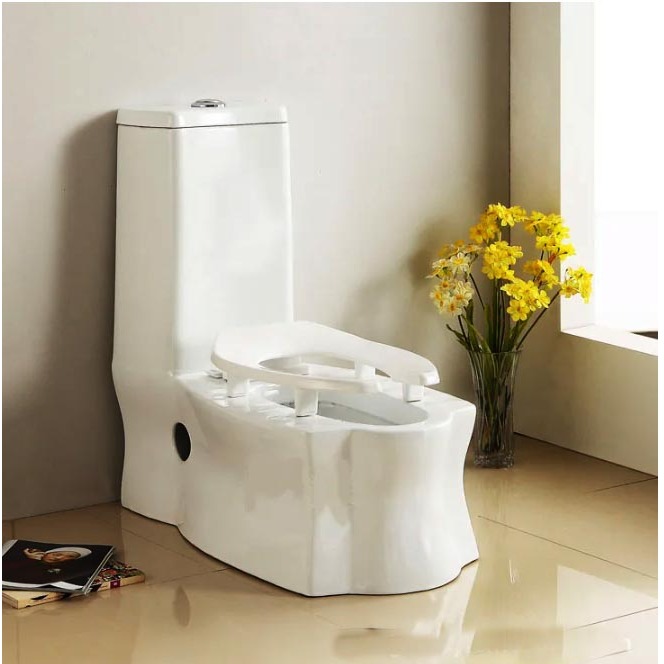 Squat and Sit Toilet / American Classic 2 in 1 water closet Squatting ...