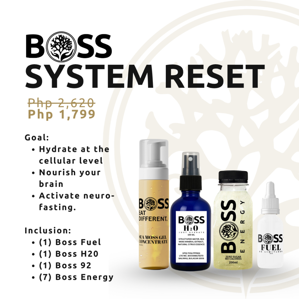 BOSS SYSTEM RESET (HYDRATION AND MINERALS) | Shopee Philippines