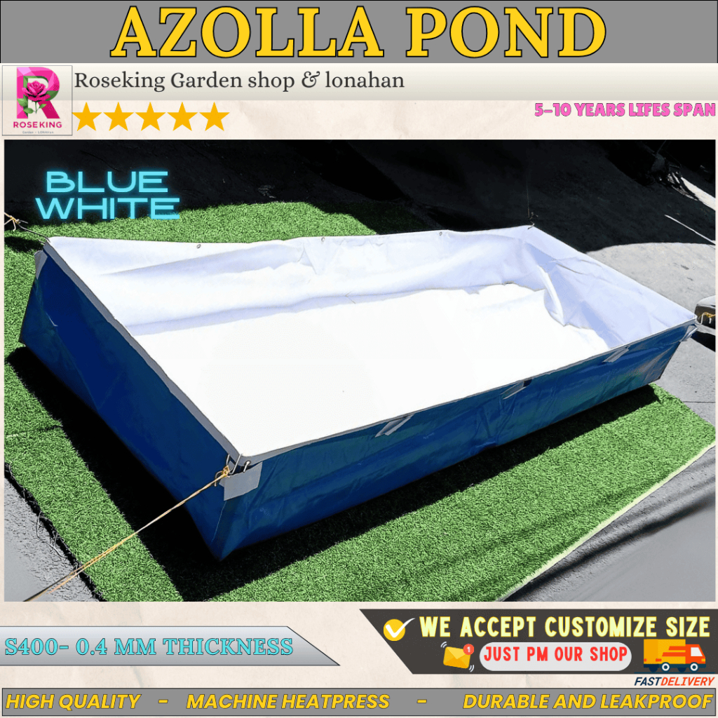 AZOLLA FISH TANK MARUYAMA ORIGINAL 10X5X2FT BUY 1 TAKE 1 FISH TANK ...