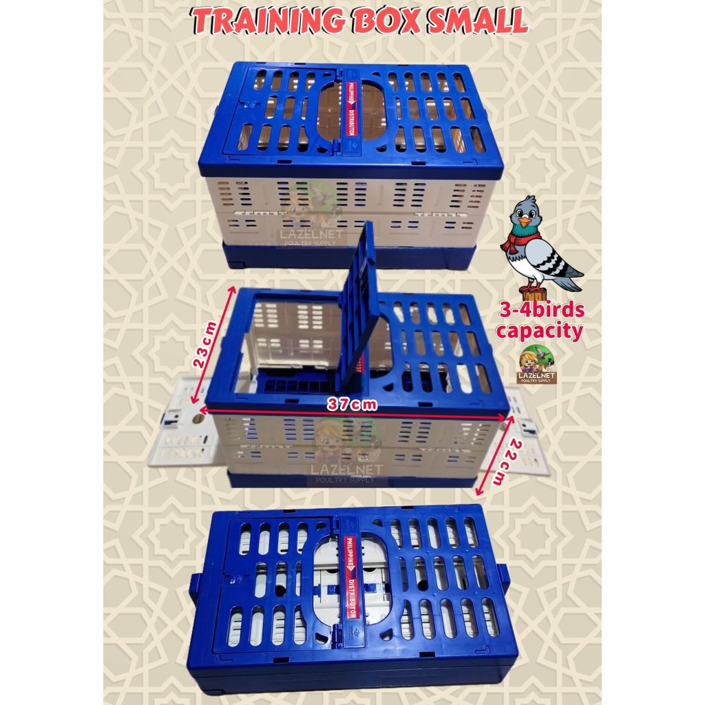 Plastic Training Box (Per Piece) | Shopee Philippines