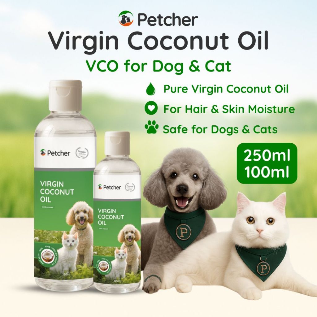 Petcher Virgin Coconut Oil for Dog VCO 100ml & 250ml Cold Pressed Hair ...