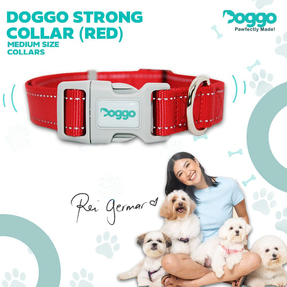 Doggo Strong Collar - Medium(Assorted Color) | Shopee Philippines