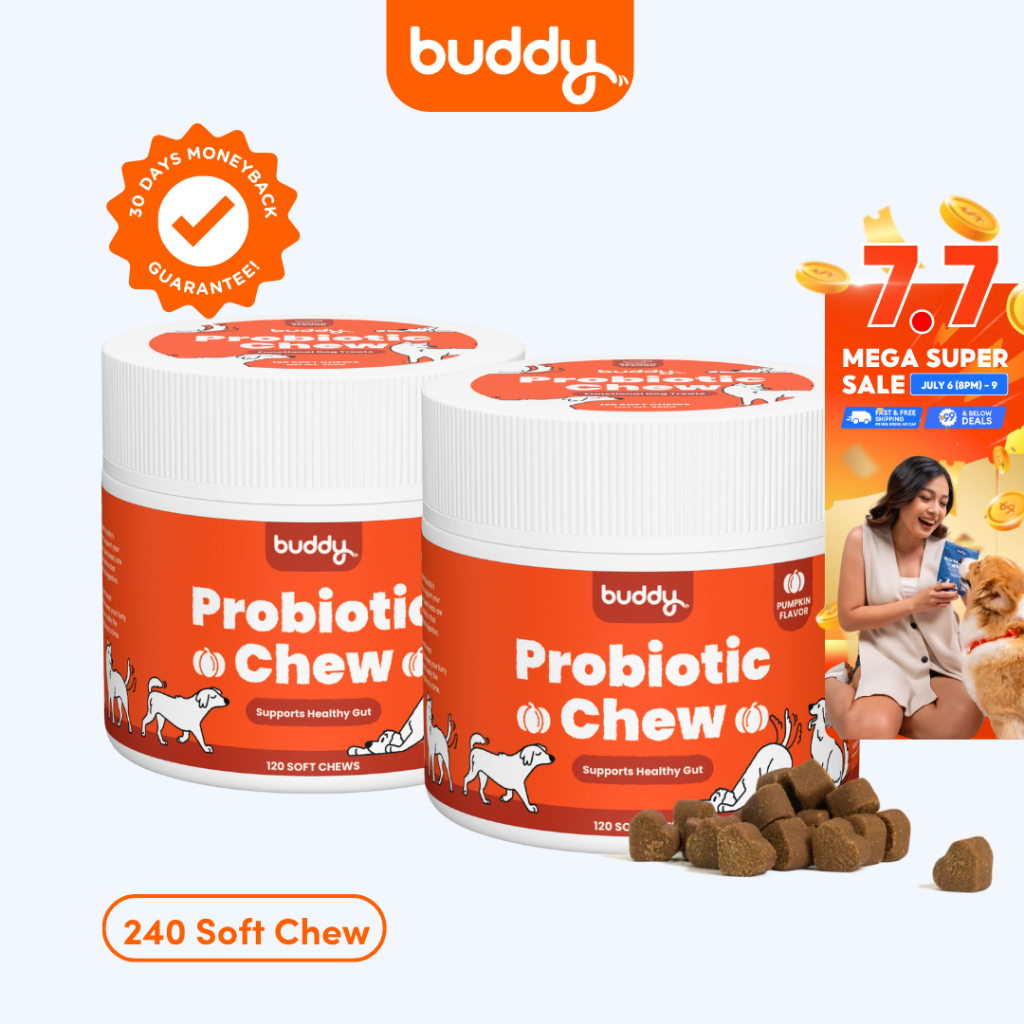 Buddy Probiotic Bites for Dog Gut Health - Dog Treats and Appetite ...