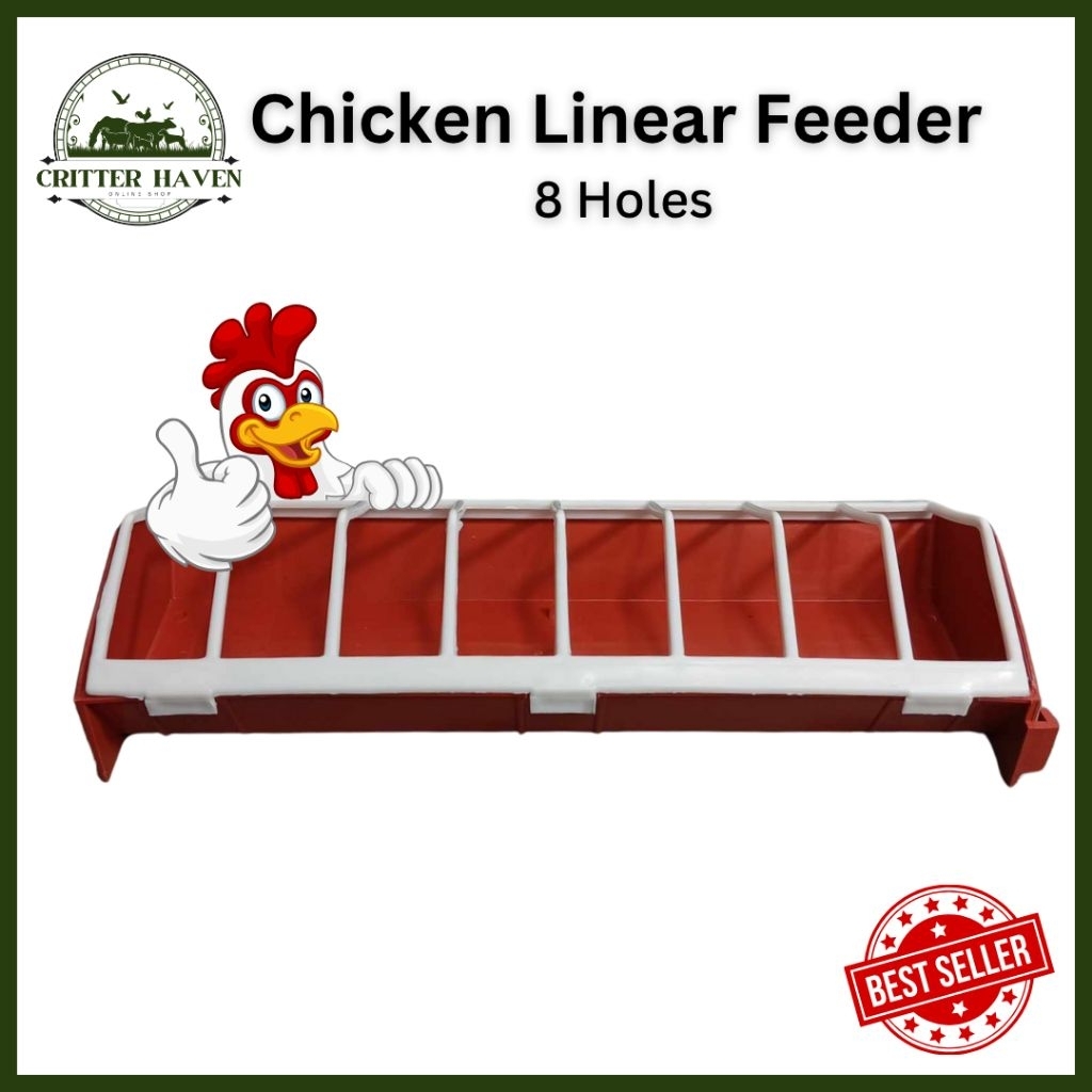 Chicken Linear Feeder / Poultry feeder / 8 Holes / pakainan ng manok ...