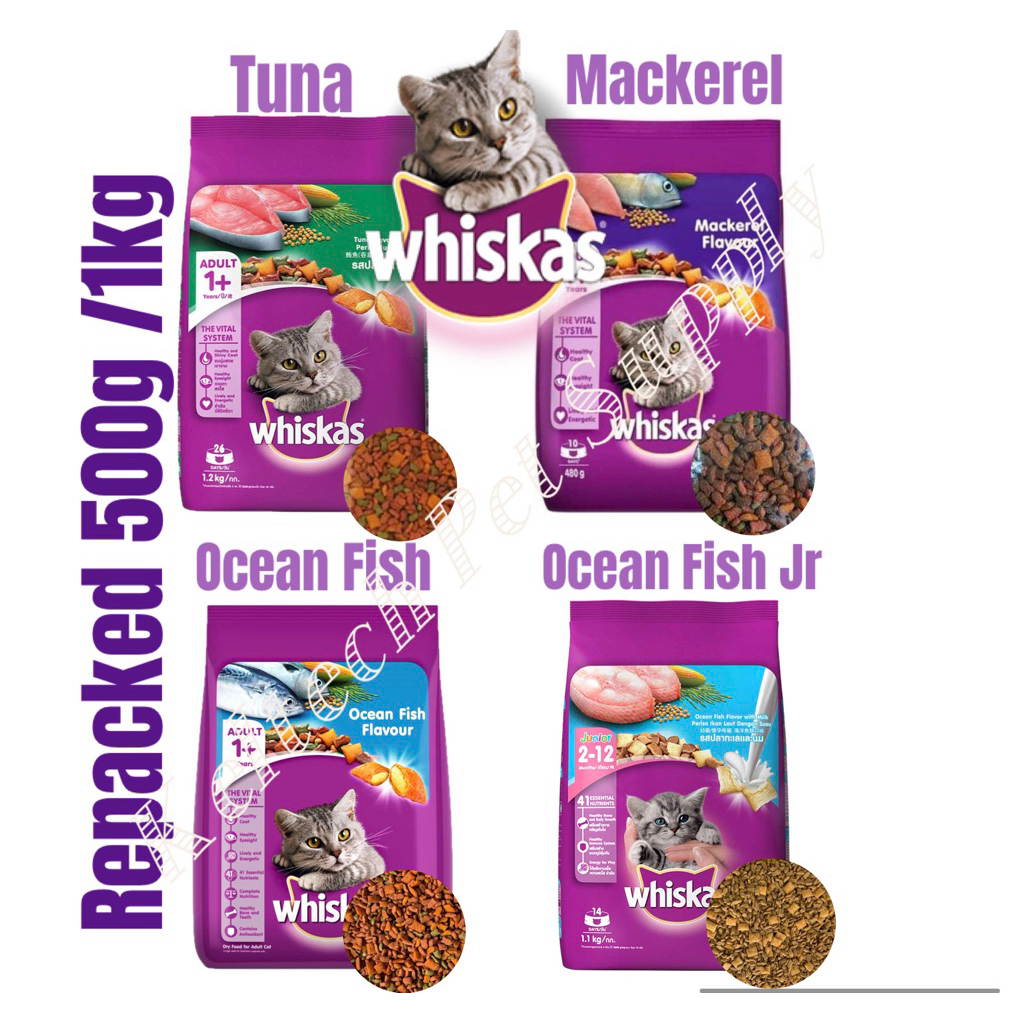 Whiskas Adult / Junior Dry Cat Food in Ocean Fish / Tuna Flavor ...
